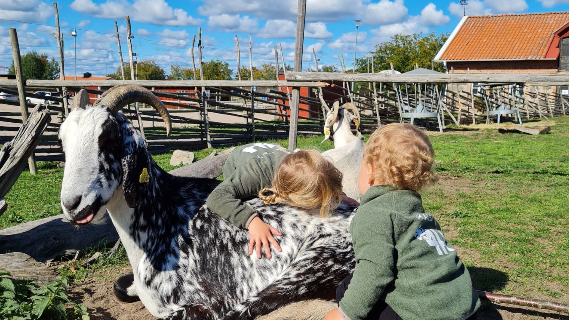 Välkommen till Skälby 4H-gård | Barncancerfonden